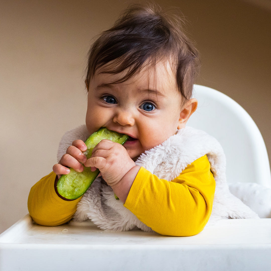 Organic Iron Drops Supplement For Babies & Toddlers | Wellements ...