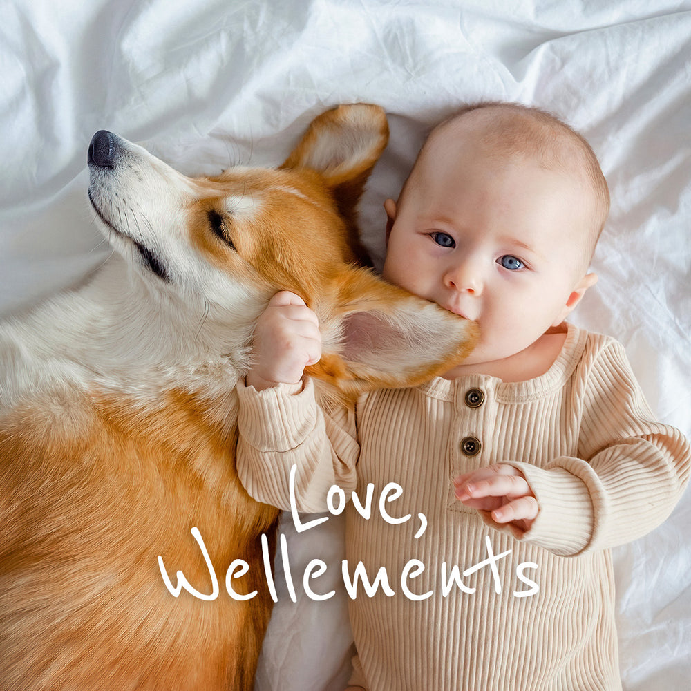 Our Story and About Us | Wellements®