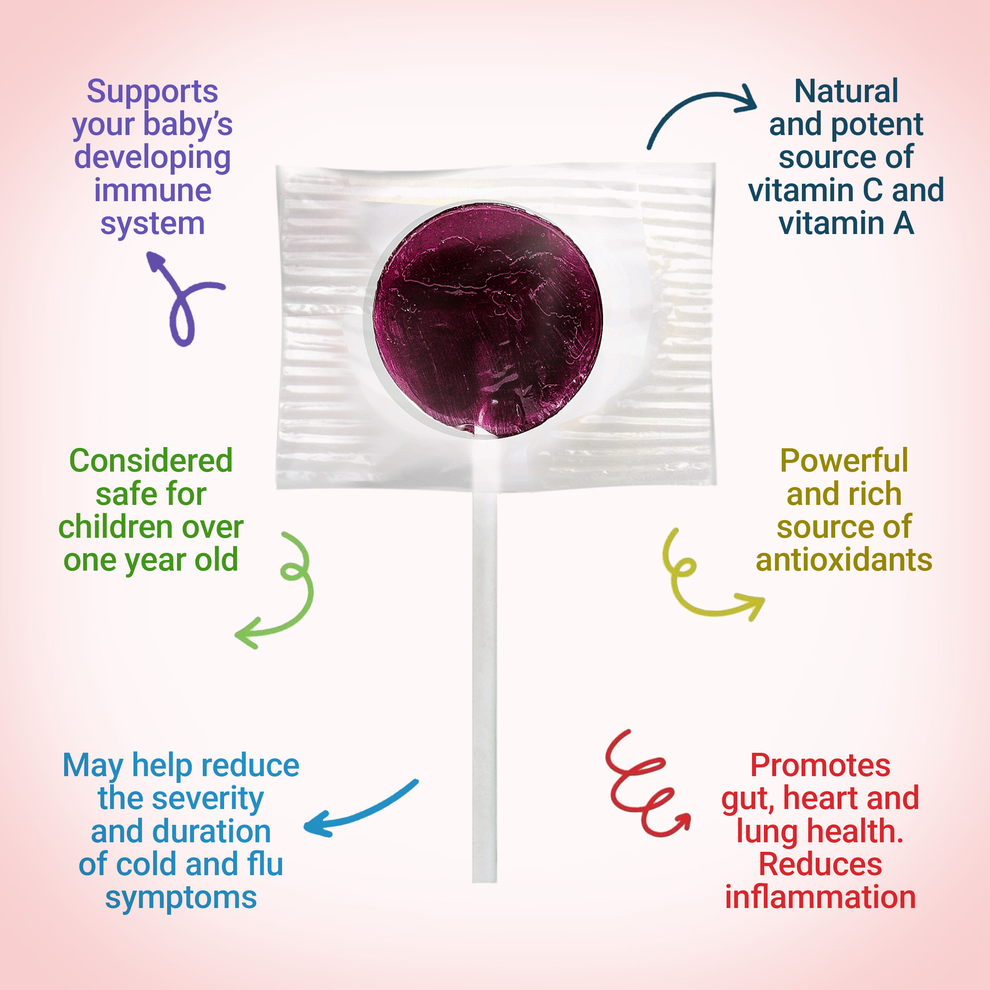 Organic Elderberry Pops For Toddlers & Kids: Lollipops For Immunity ...