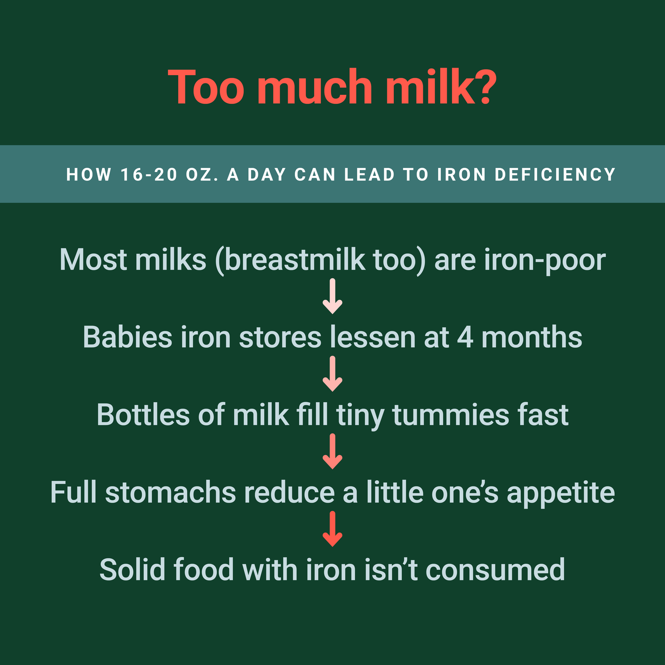 Organic Iron Drops Supplement For Babies & Toddlers | Wellements ...