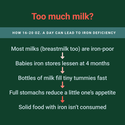 Organic Iron Drops Supplement For Babies & Toddlers | Wellements ...