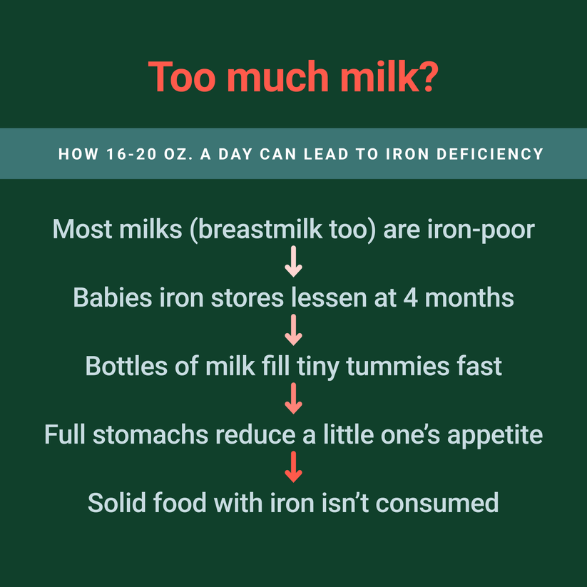 Organic Iron Drops Supplement For Babies & Toddlers | Wellements ...