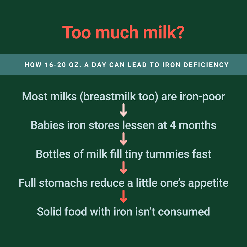 Organic Iron Drops Supplement For Babies & Toddlers | Wellements ...